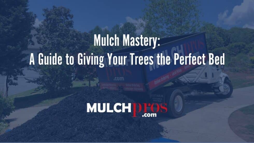 How To Apply Mulch Around Trees | Dos & Don’ts of Tree Mulching
