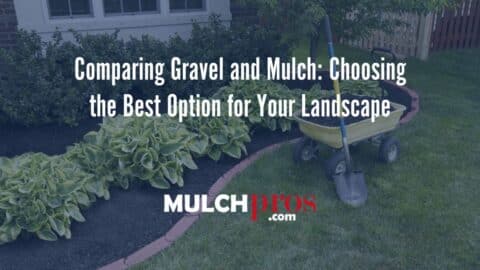 Gravel Vs Mulch: What Is Better For Your Landscaping?