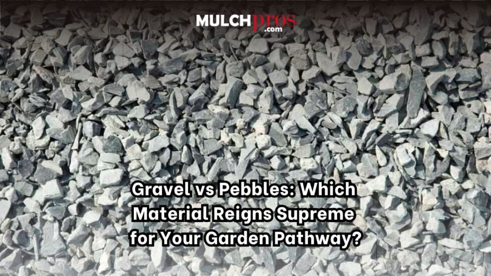 Gravel vs Pebbles: Best Material for Your Garden Pathway