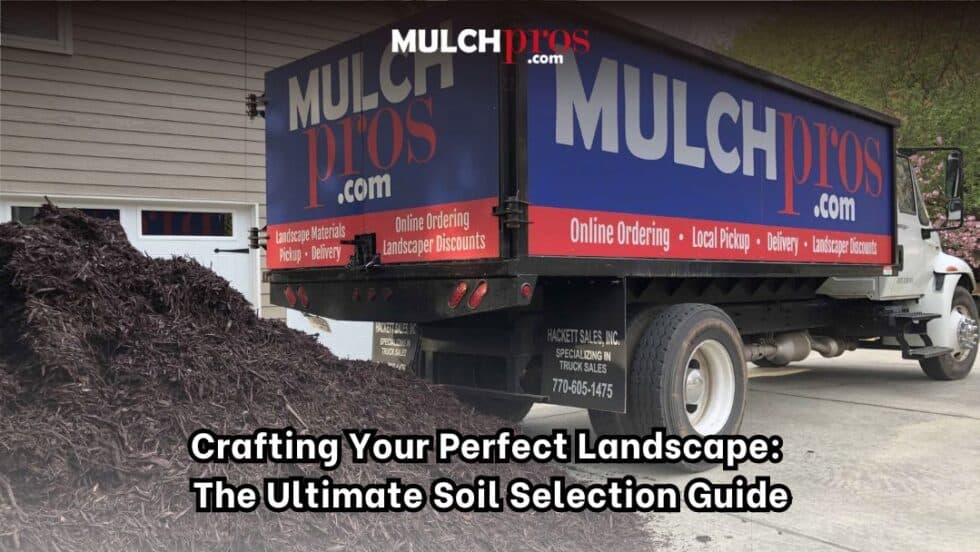 Choosing The Right Soil For Landscape: Expert Tips