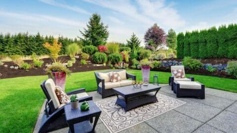 How To Choose The Right Color Mulch: What Should You Know?