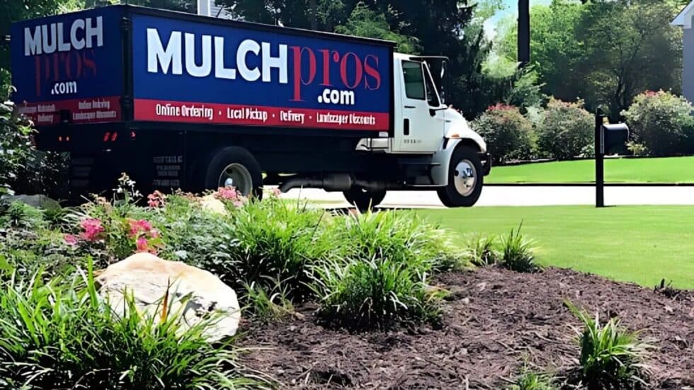 How To Choose The Right Color Mulch: What Should You Know?