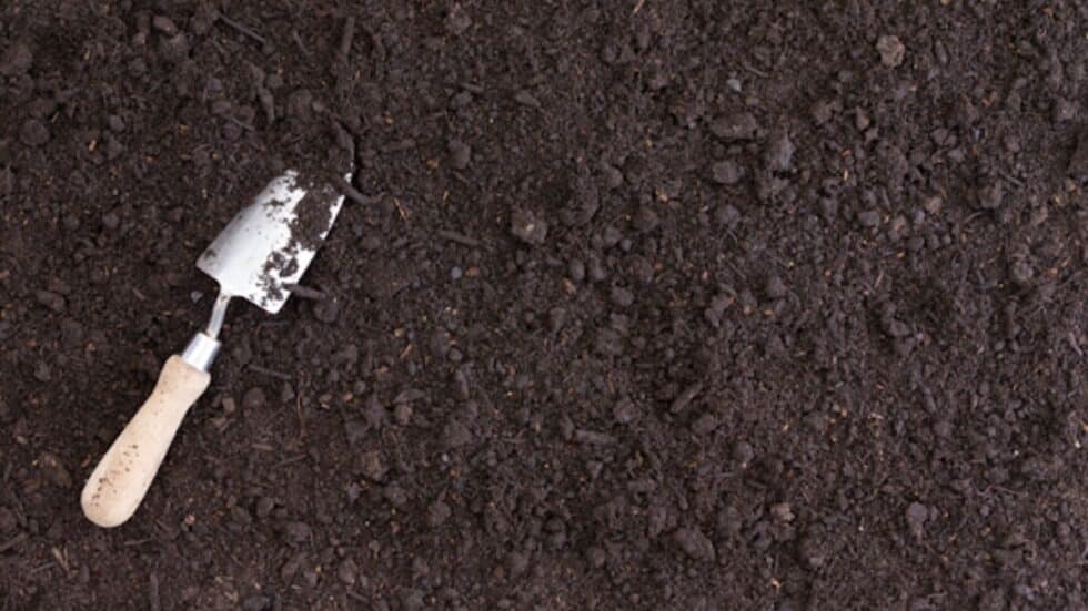 Fill Dirt vs Topsoil: What's The Difference & Which To Choose?