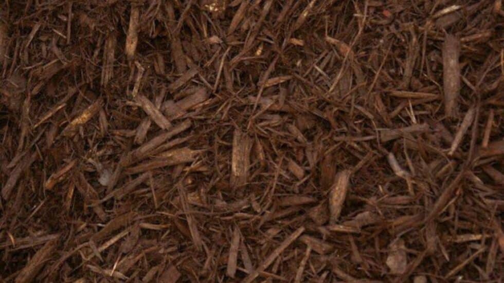 Mulch vs Bark: What's The Difference & Which is Best?