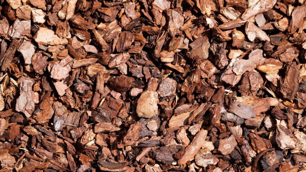 Mulch vs Bark: What's The Difference & Which is Best?
