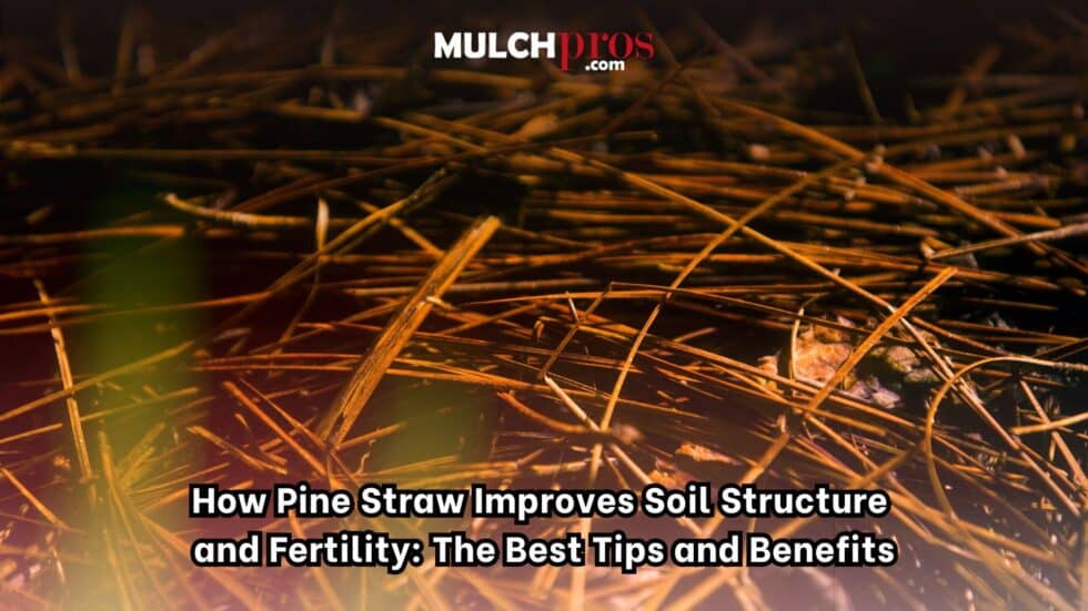 How Pine Straw Improves Soil Structure & Fertility: Benefits & Tips