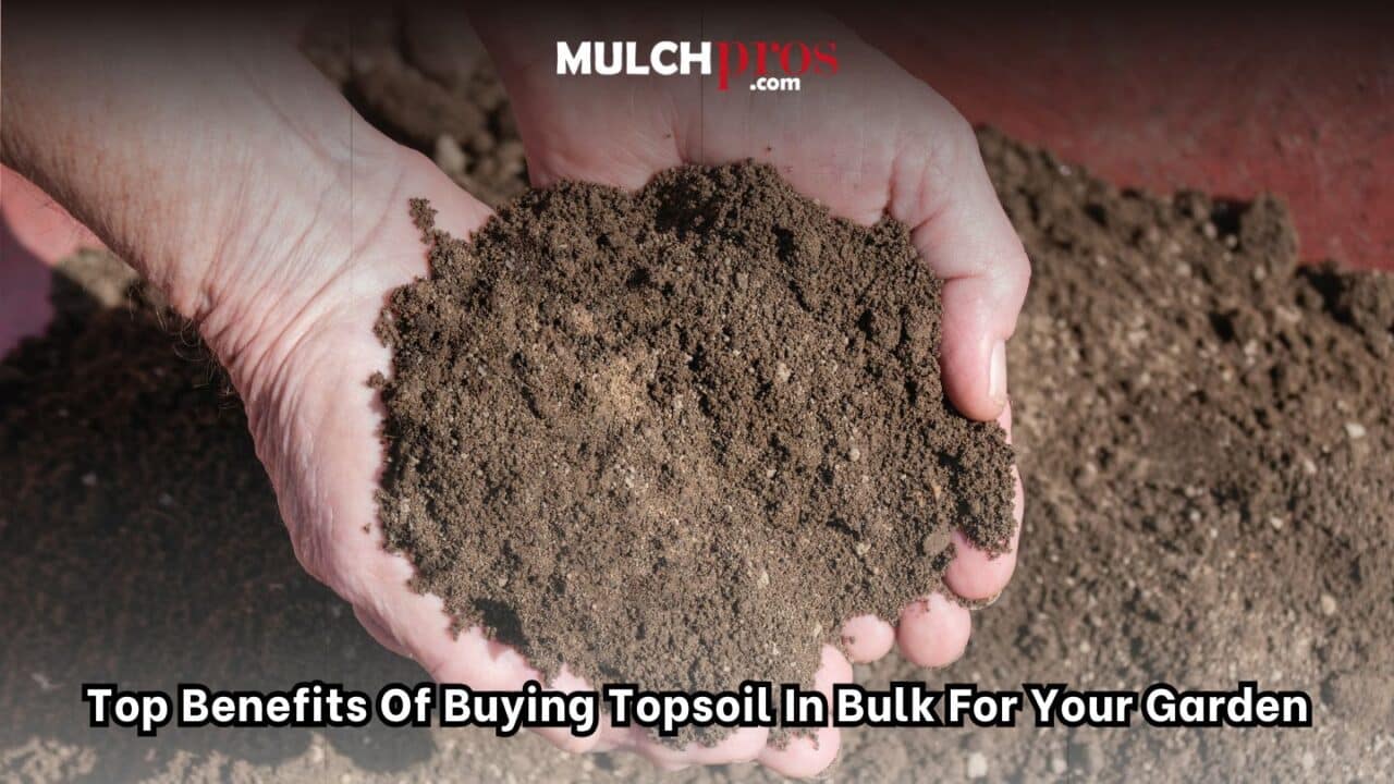 Benefits Of Buying Topsoil In Bulk For The Garden: Practical Tips